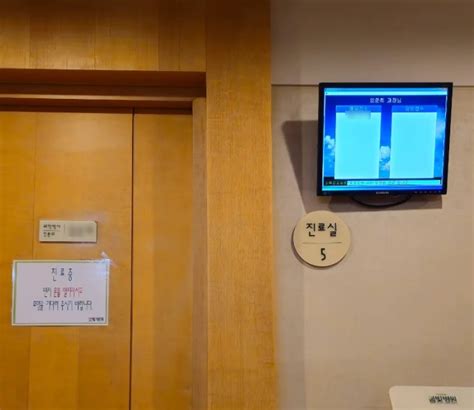 임신17주~21주 기록과 증상 신경관결손검사 태동 쥐 임신 중 질염 네이버 블로그