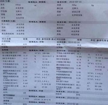 体检报告单模板八篇 范文118