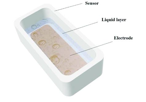 Schematic Representation Of The Sensor For Detection Of Contaminants In