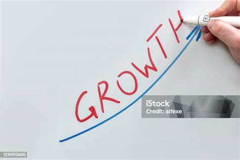 파란색 마커와 손 그리기 그래프 돋보기 확대 화살표 오븐 비즈니스 그래프를 그리는 사업가 개념에 대한 스톡 사진 및 기타 이미지 개념 개념과 주제 개선 Istock