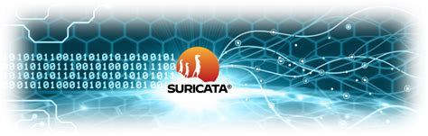 Optimizing Network Traffic For Efficient Traffic Monitoring In Suricata