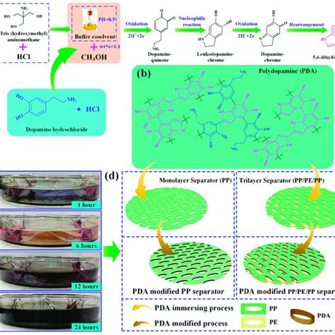 Schematic And Preparation Of The Polydopamine Pda Modified Separator