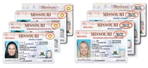 Mastering The Missouri Id Everything You Need To Know