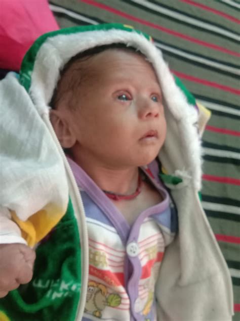 Qbasic Programs Class 6 7 And 8 Nirsoftcare Solution