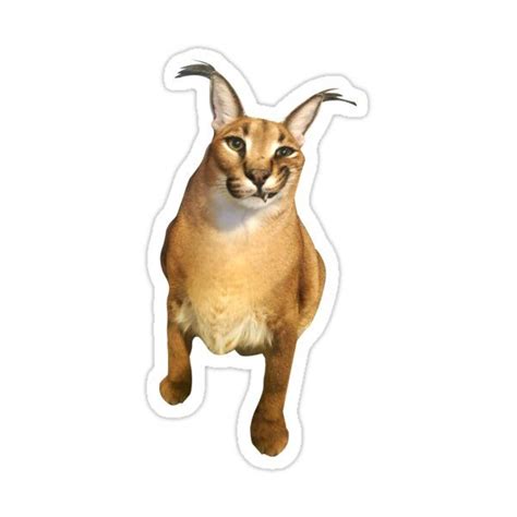 Big Floppa Smile Sticker