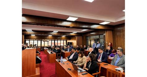 Нова програма за овладяване на популацията на безстопанствените кучета прие Общинският съвет