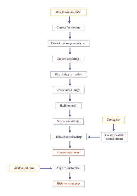 Processing Pipeline Used To Analyze Both Fmri Paradigms Download