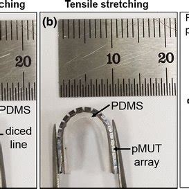 Flexible Piezoelectric Micromachined Ultrasonic Transducer Pmut For