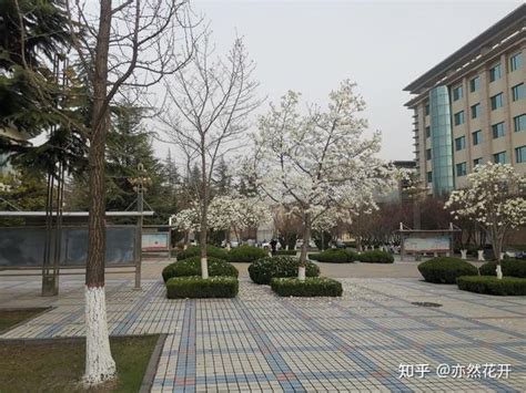 会议纪要的特点、分类与写作要点 知乎