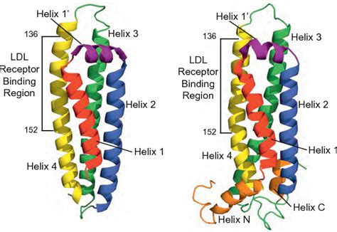 Apolipoprotein E From Lipid Transport To Neurobiology Semantic Scholar