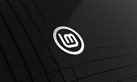 samuel immanuel brugger jakob on linkedin linux mint 21 3 beta