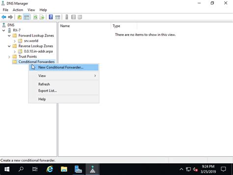 windows server 2019 dns server set conditional forwarder server world