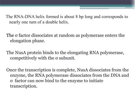 Transcriptional And Post Transcriptional Regulation Of Gene Expression Pptx