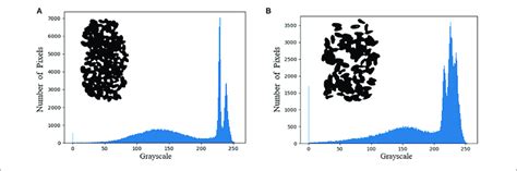 Grayscale Histogram And Binarized Images A Sample 1 1 B Sample 1 2 Download
