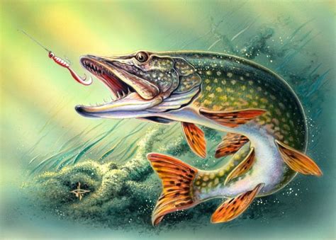 Загадки про щуку