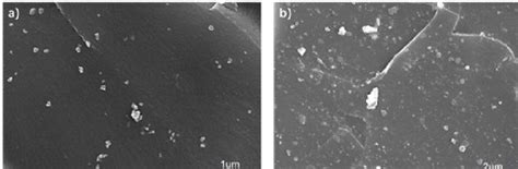 Scanning Electron Microscope Sem Of A 0 1 Sic Ep Composite And B Download Scientific