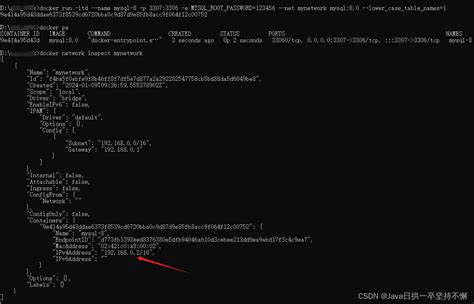 Docker安装nacosmysql配置网络在nacos容器中安装mysql Csdn博客