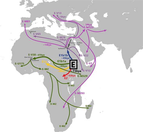 Theres Nothing More Ironic Than An Arab With Haplogroup J Calling