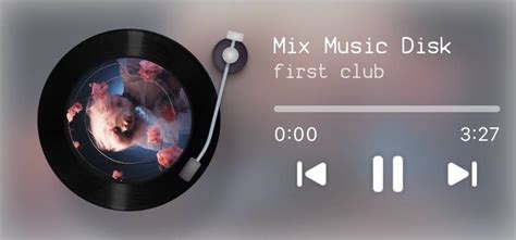 63 Aesthetic Music Widget Ideas For Iphone And Android Widgetclub