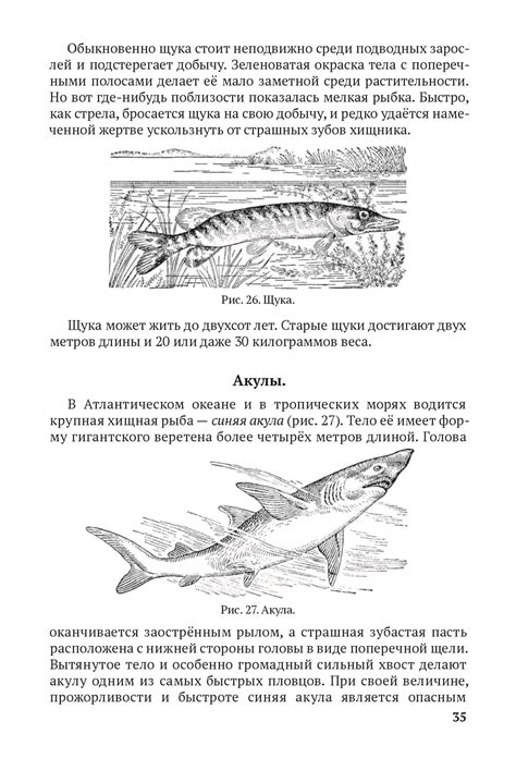 Естествознание Учебник для 4 класса начальной школы