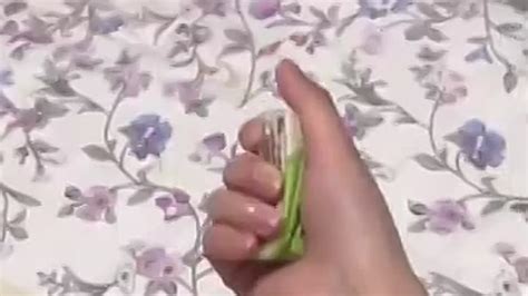 Кот как собака