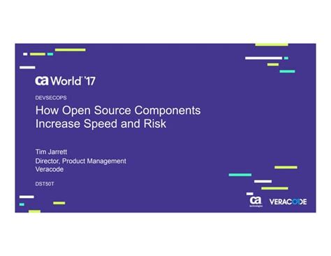 How Components Increase Speed And Risk Ppt