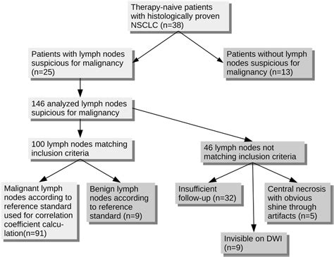 Flow Chart Depicting The Process Of Inclusion For All Analyzed Lymph