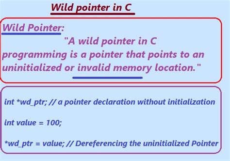 Wild Pointers In C Programming