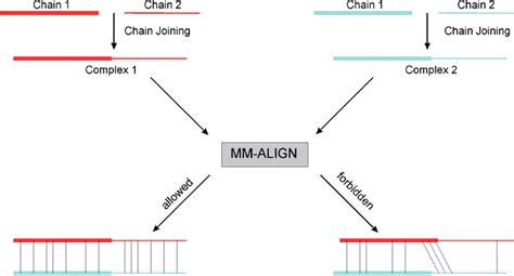 An Illustration Of The Chain Joining Procedure In Mm Align Both Chains Download Scientific