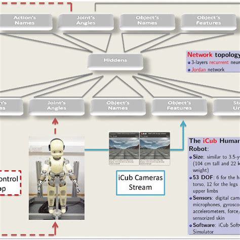 Partially Recurrent Neural Network Model Download Scientific Diagram