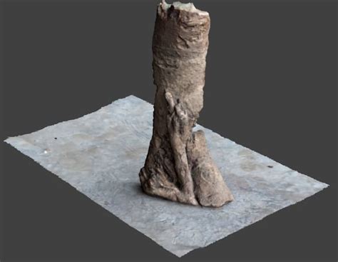 Half Bark Or Wood Piece 3d Model Cgtrader