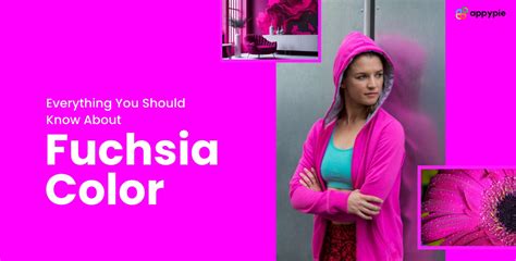 Fuchsia Color Explore Code Shades And Variations