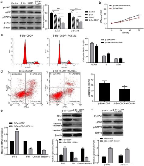 β Ele Enhanced Cisplatin Sensitivity Via Down Regulating Jak2 Stat3 Download Scientific Diagram