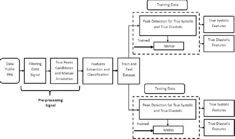 The Proposed Algorithm Flowchart For Multi Class Systolic Diastolic Download Scientific Diagram