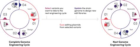Onyx® Iterative Editing Inscripta