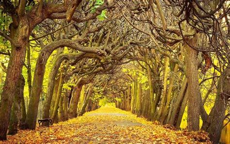 Najlepsze Miejsca Na Randk W Polsce Pomys Y Na Romantyczne Spotkania Marzec