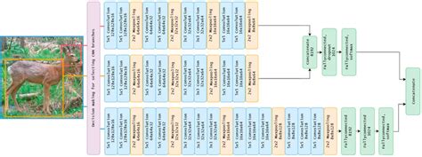 Proposed Architecture Of The Joint CNN Download Scientific Diagram