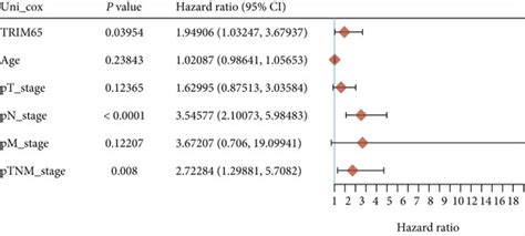 Trim65 Is Upregulated And Is An Independent Risk Factor For The