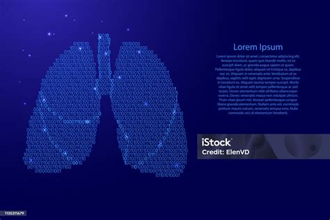 폐 인간적 인 해부학 호흡 기관은 배너 포스터 인사말 카드를 위한 공간 별을 가진 파란 것과 0의 바이너리 디지털 방식으로 코드에서 추상적인 설계도 벡터 일러스트입니다 폐에