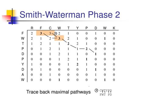 Ppt Practical Protein Sequence Alignment With Algebraic Dynamic Programming Powerpoint