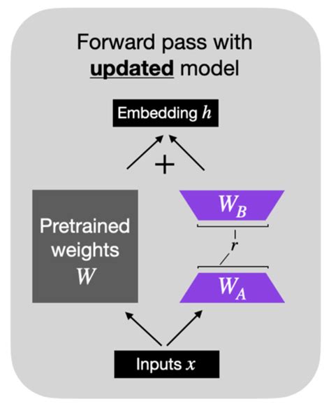Revolutionizing Ai Fine Tuning A Deep Dive Into Low Rank Adaptation