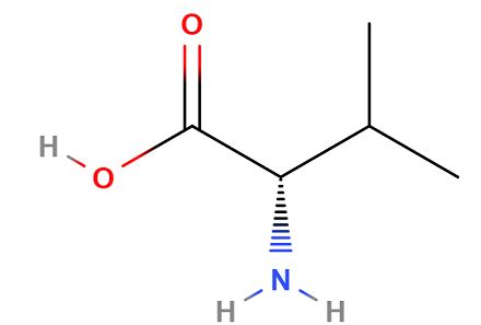Valine Structure At Ph 7
