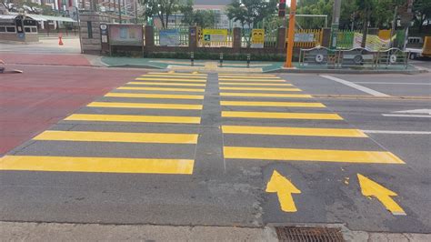 구미경찰서 스쿨존 노란색 횡단보도 시범 도입 나무뉴스