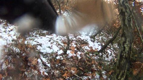 κυνηγι αγριογουρουνο Youtube