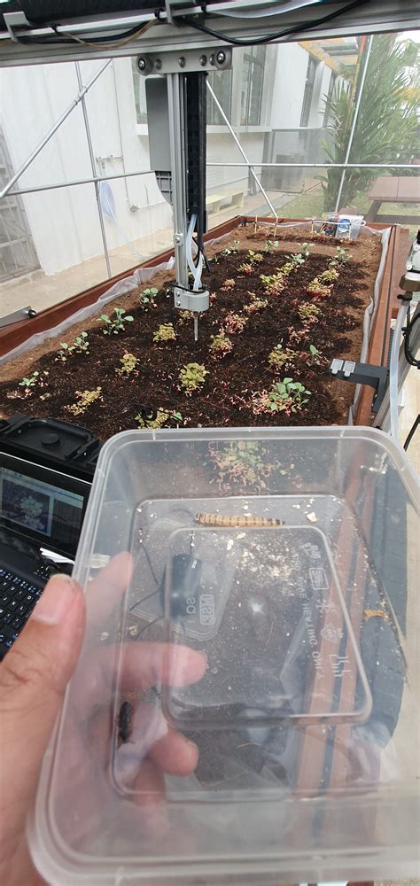 Trial Test Integration Of Smart Pest Monitoring And Detection System
