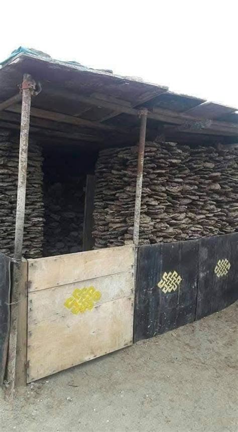 Taiz Mn Taiz Mn Added A New Photo