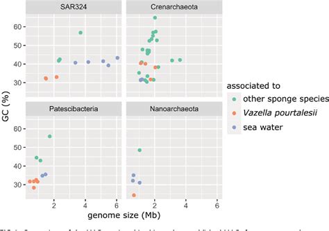 Patescibacteria Group Semantic Scholar