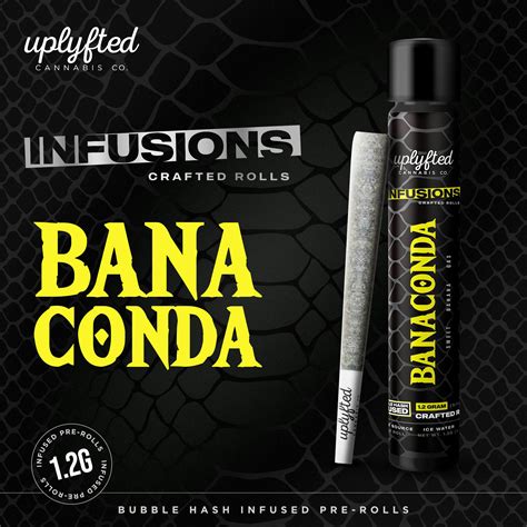 1 2g Bubble Hash Infused Pre Roll Banaconda Uplyfted Cannabis Co