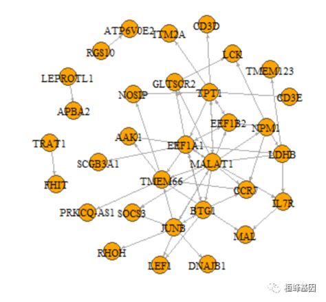 Rna 26 Sci文章中基于转录组数据的基因调控网络推断 Genie3 单细胞genie3教程 Csdn博客