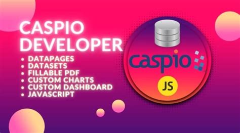 Develop Caspio Application Caspio Datapages Datasets By Combinezpk Fiverr